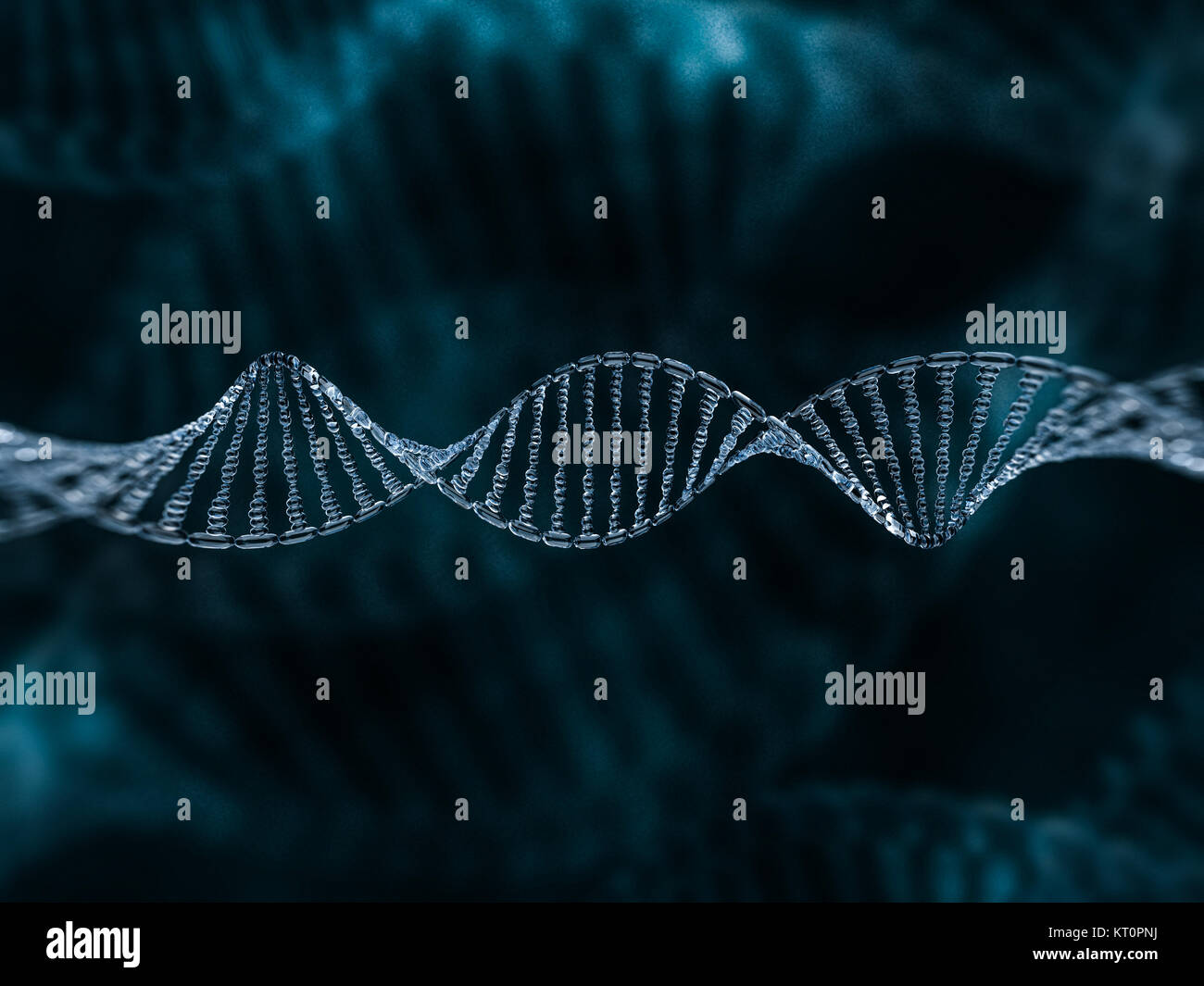 Dna helix molecular model transparent hi-res stock photography and ...