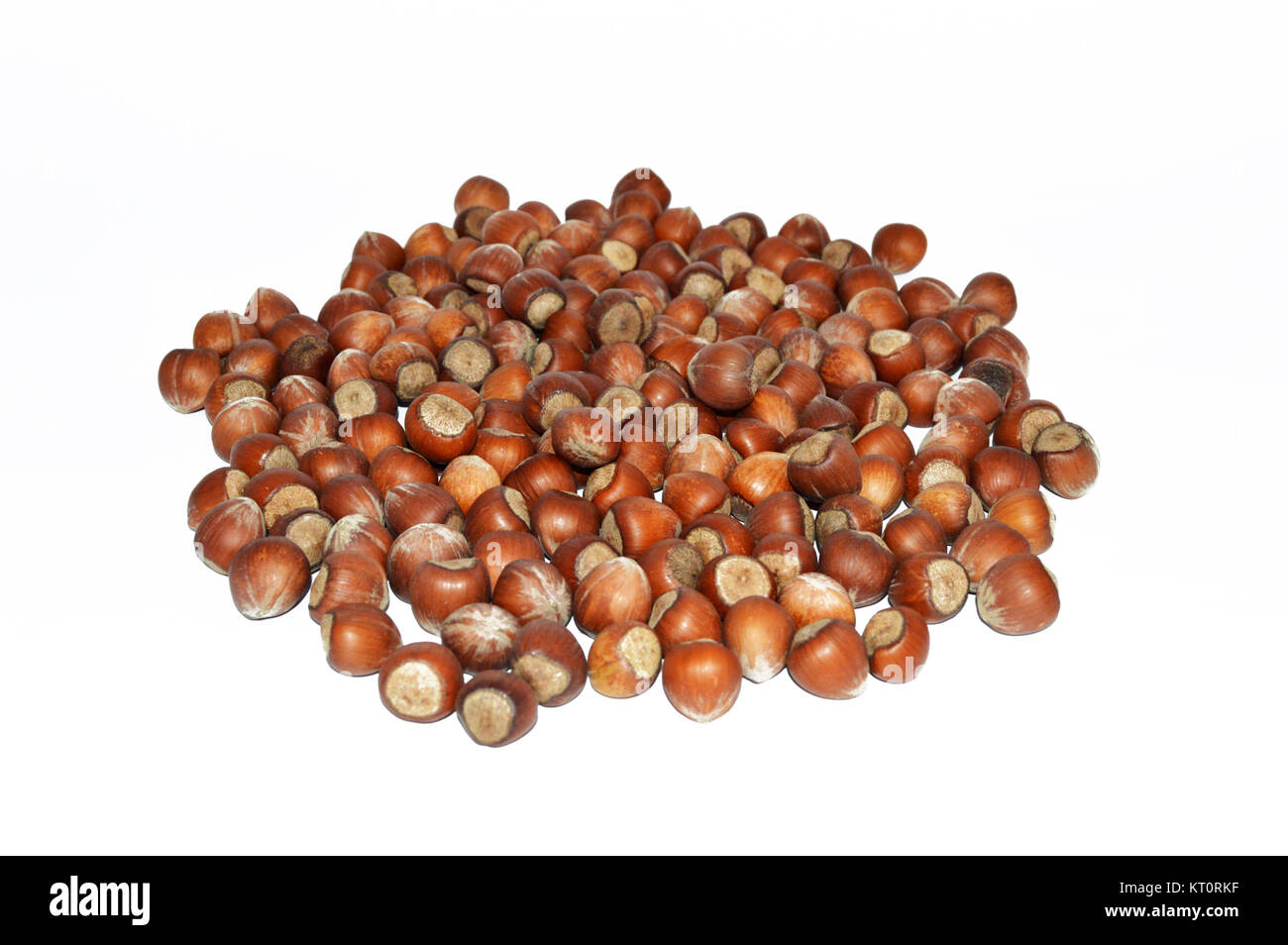 Hazel fruit Cut Out Stock Images & Pictures - Alamy