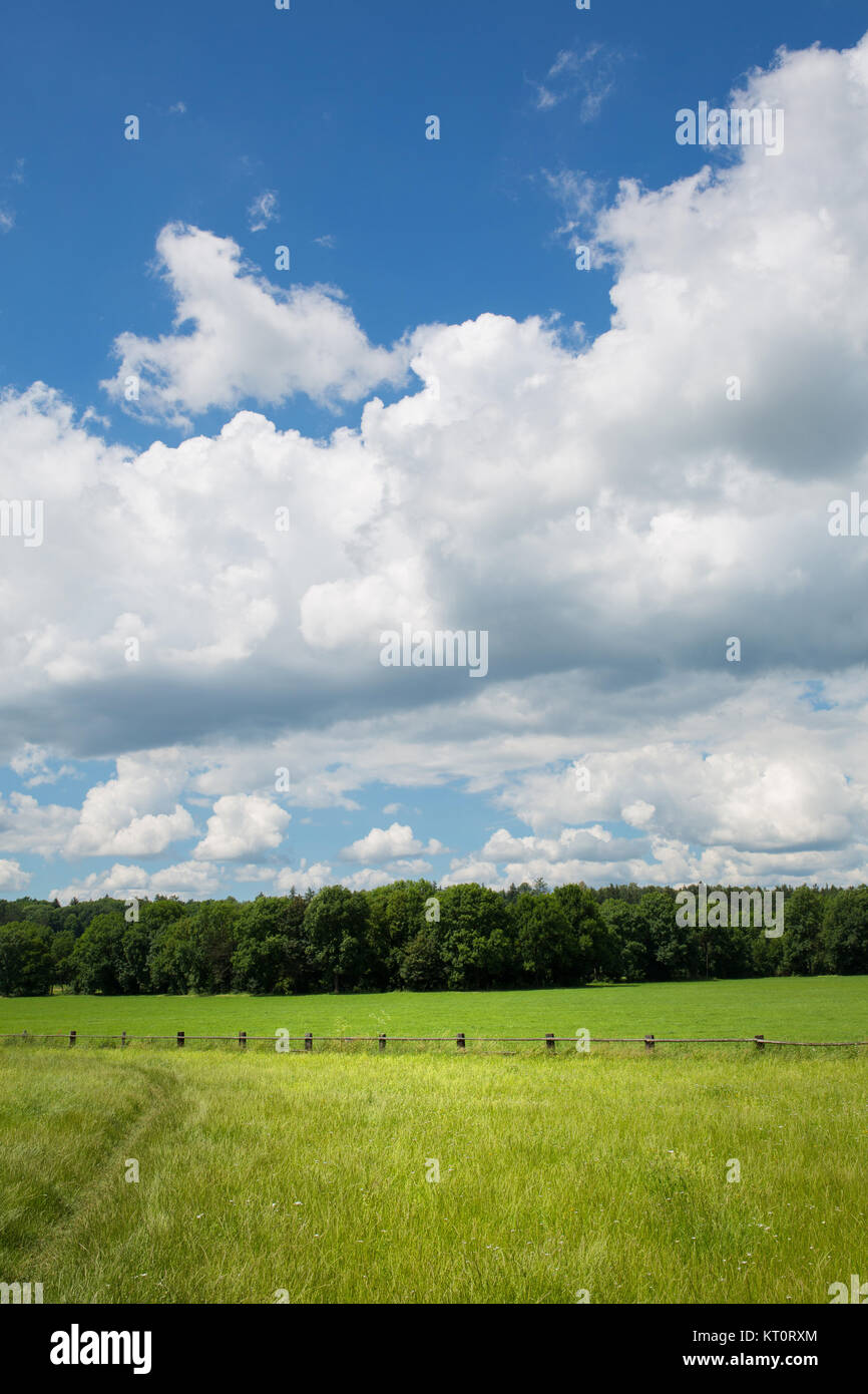 Green pastures horse farms. Countryside spring landscape Stock Photo ...