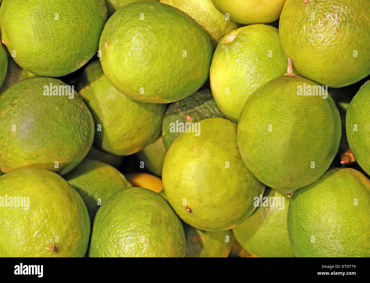 yellow-green limes citrus limetta Stock Photo - Alamy