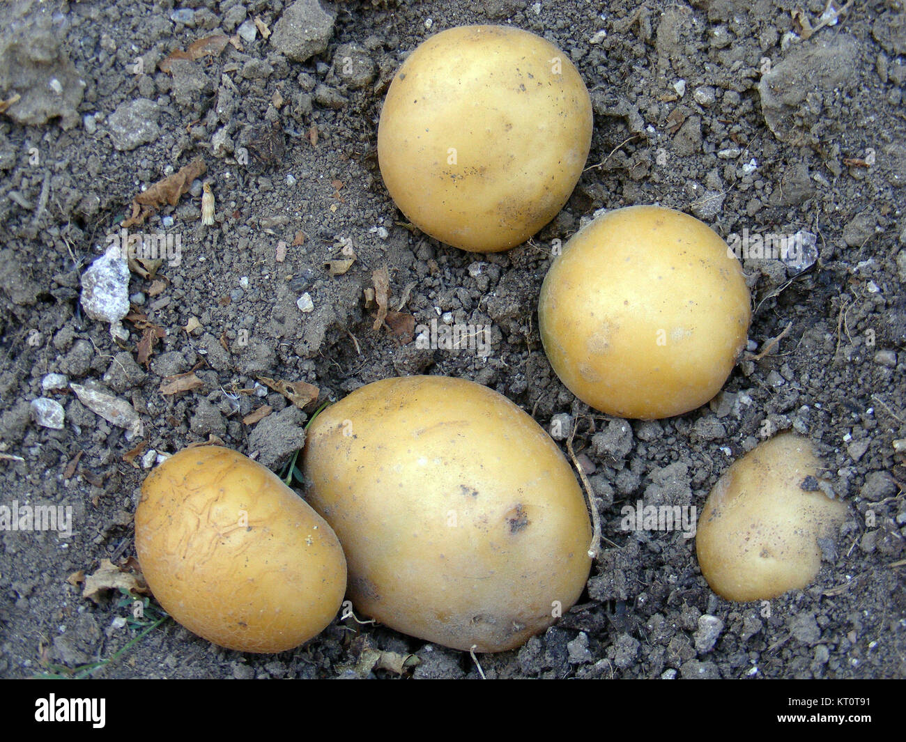 40008733377 hi-res stock photography and images - Alamy