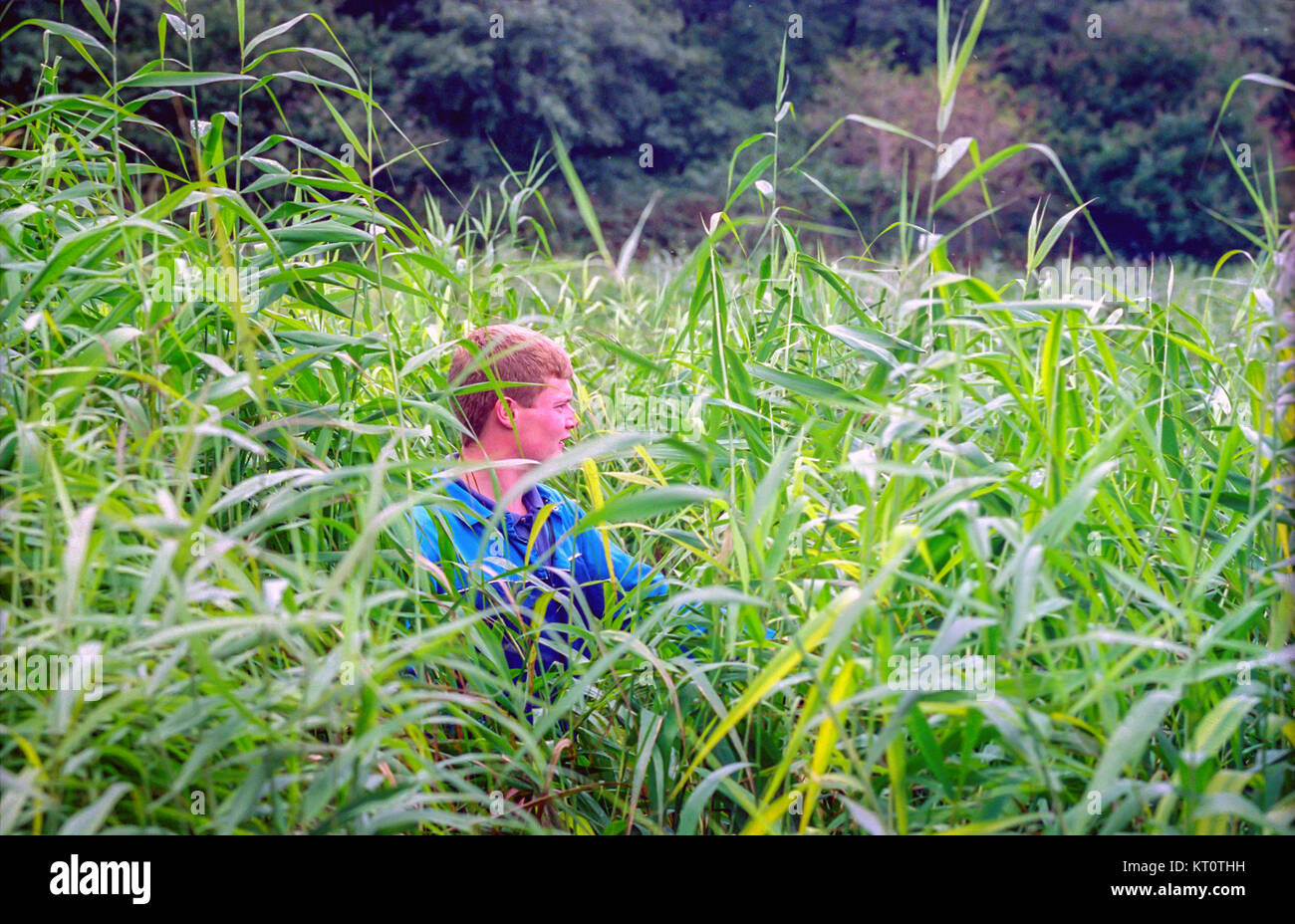 Made in robertsbridge hi-res stock photography and images - Alamy