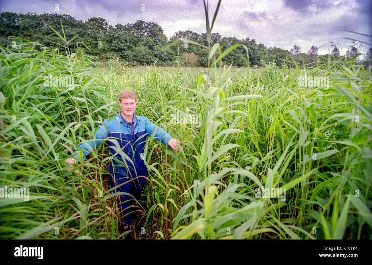 Made in robertsbridge hi-res stock photography and images - Alamy