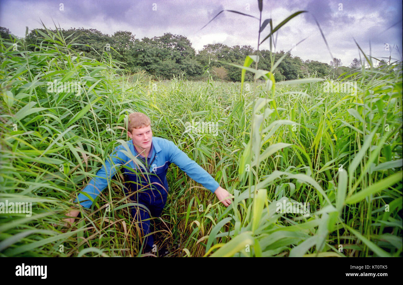 Made in robertsbridge hi-res stock photography and images - Alamy