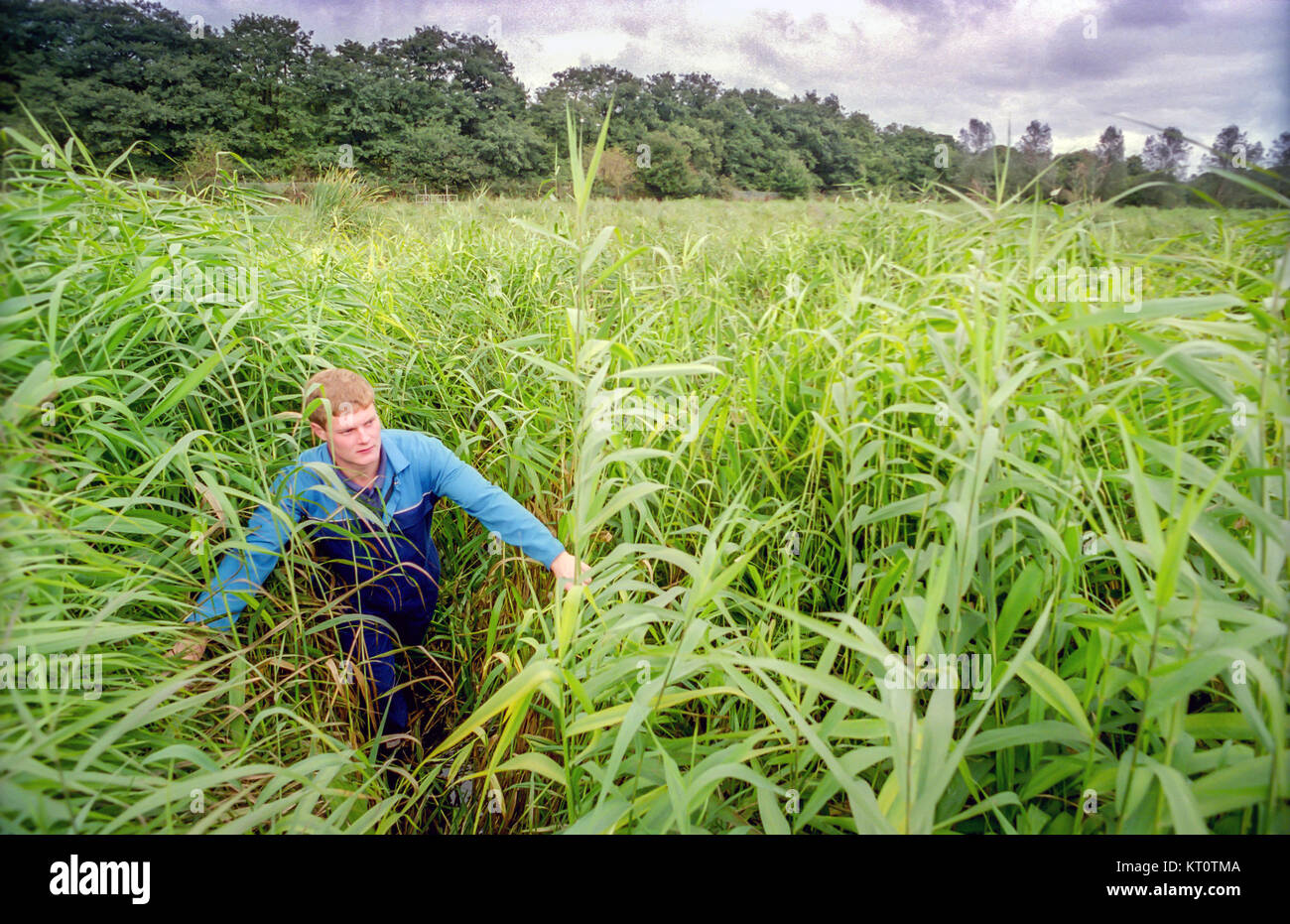 Made in robertsbridge hi-res stock photography and images - Alamy