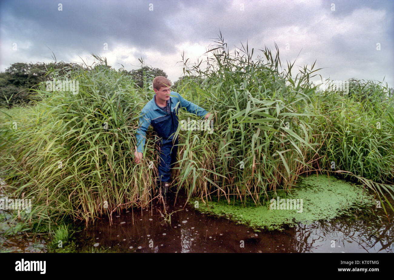 Made in robertsbridge hi-res stock photography and images - Alamy