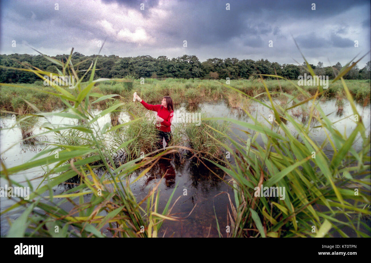 Made in robertsbridge hi-res stock photography and images - Alamy