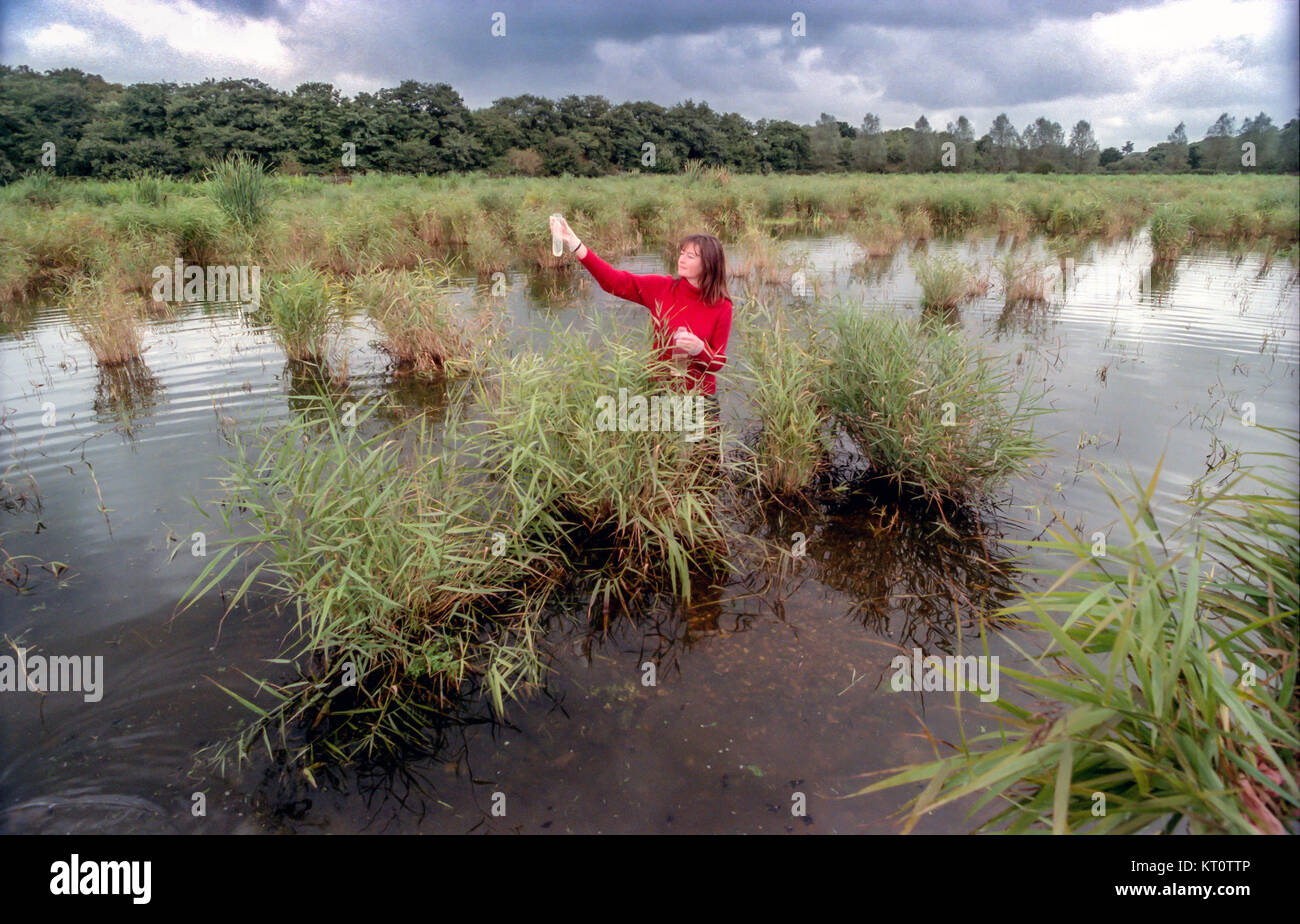 Made in robertsbridge hi-res stock photography and images - Alamy