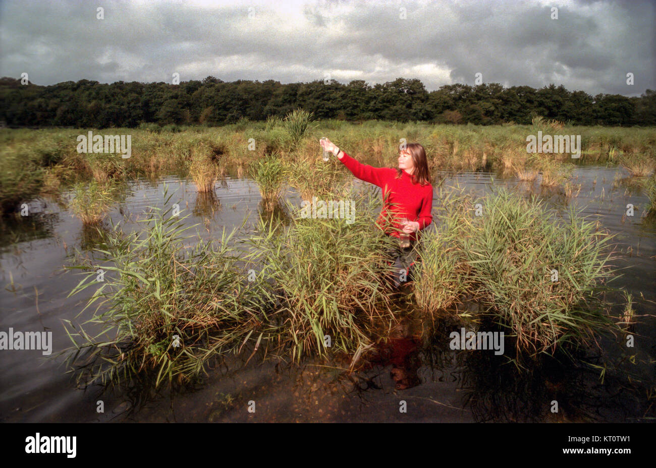 Made in robertsbridge hi-res stock photography and images - Alamy