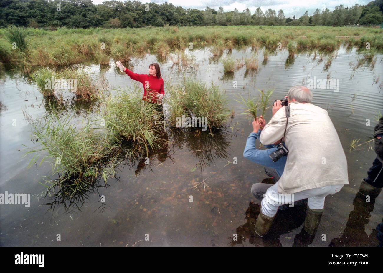 Made in robertsbridge hi-res stock photography and images - Alamy