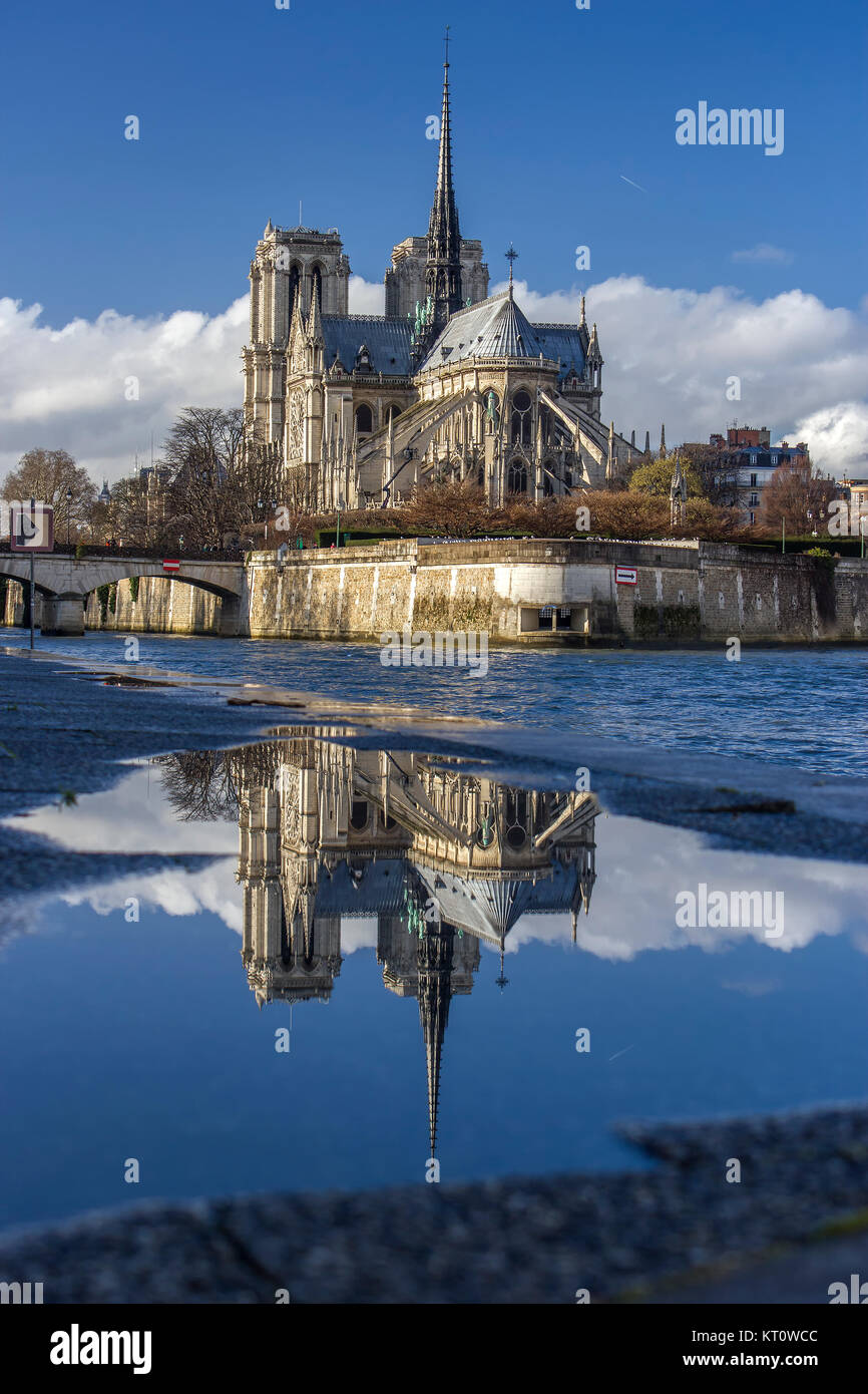 Notre Dame cathedral with water reflection, vertical Stock Photo - Alamy