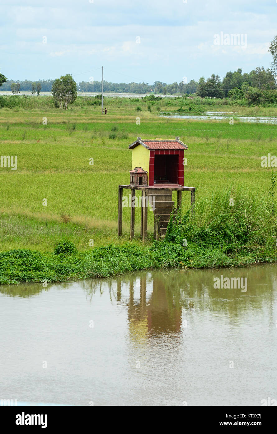 Small altar on the rice field in Mekong Delta, southern Vietnam Stock ...