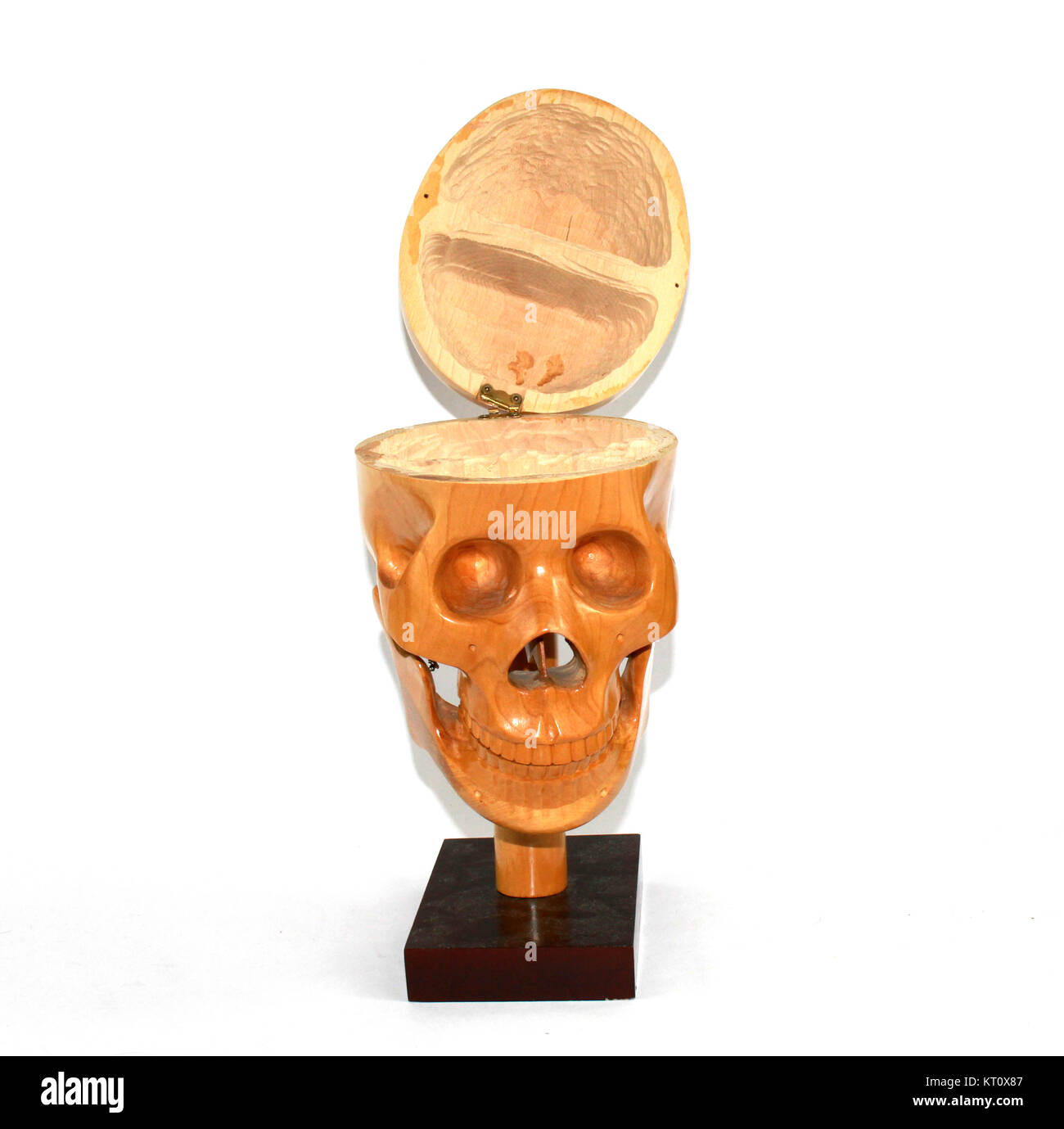 Wooden Skull On Stand with Hinged Top Stock Photo - Alamy