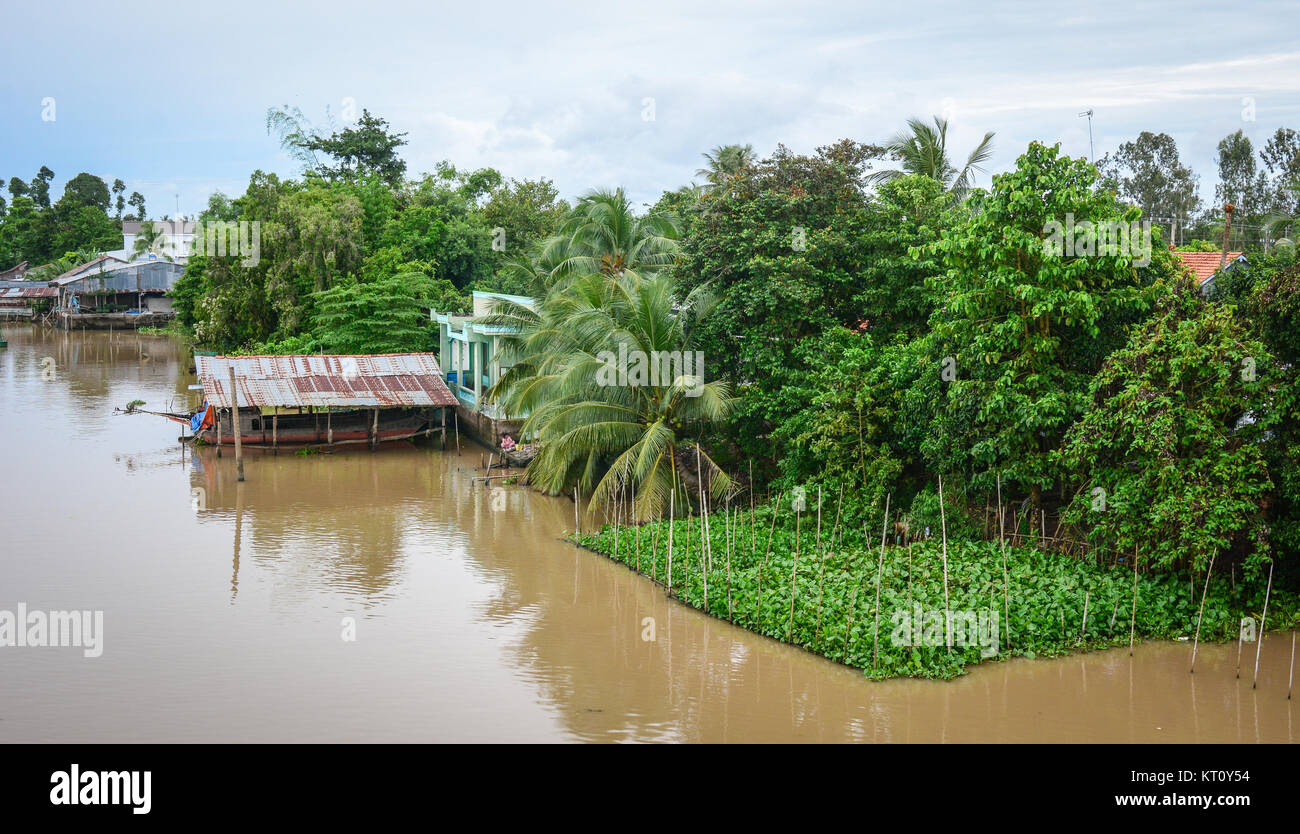 An Giang, Vietnam - Oct 3, 2015. River scenery with many trees in An ...