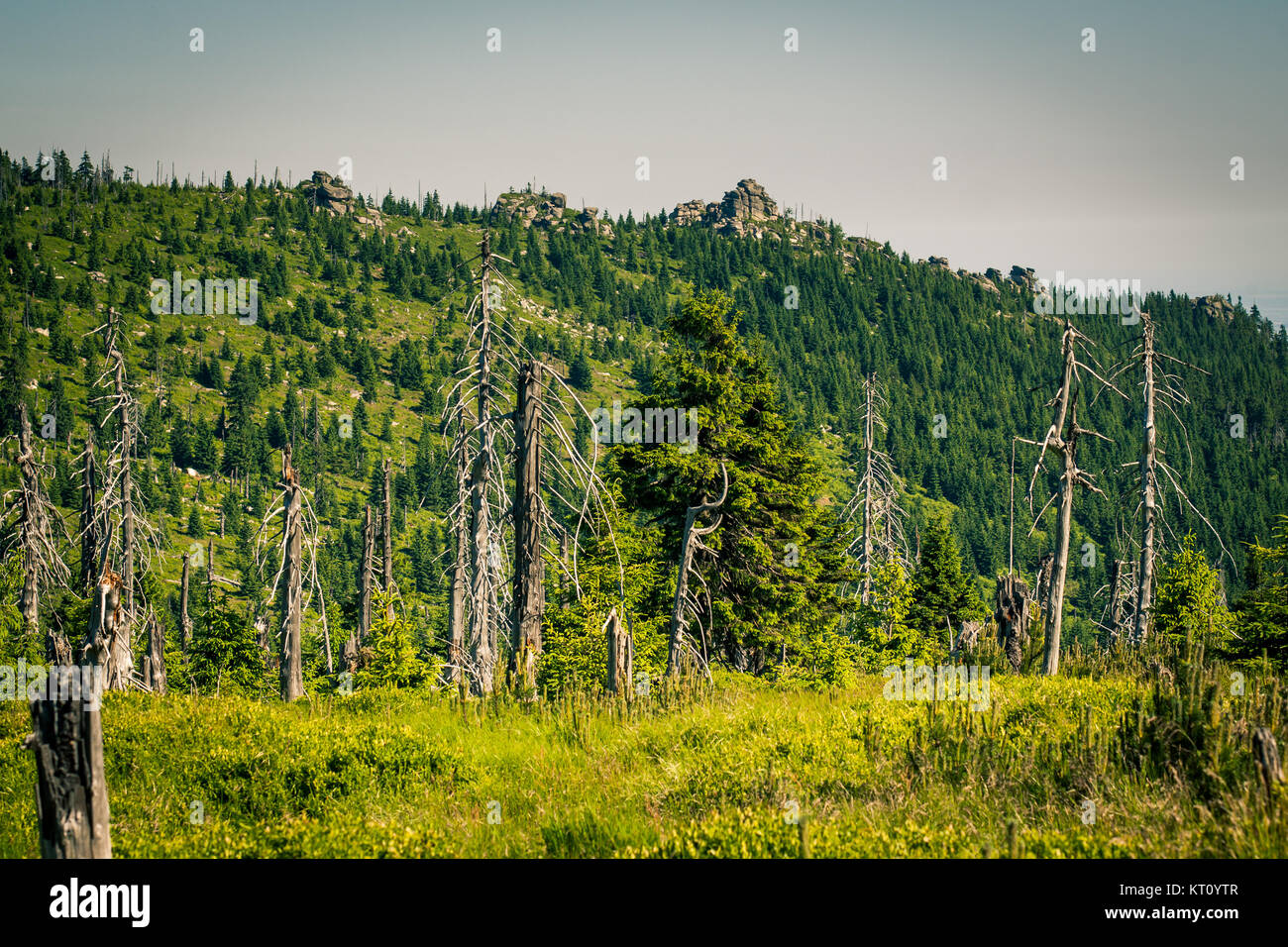 mountain landscape of the Giant Mountains National Park in the Czech ...