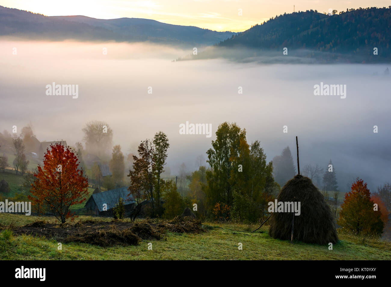 rural area on foggy autumn morning. gorgeous countryside landscape in ...