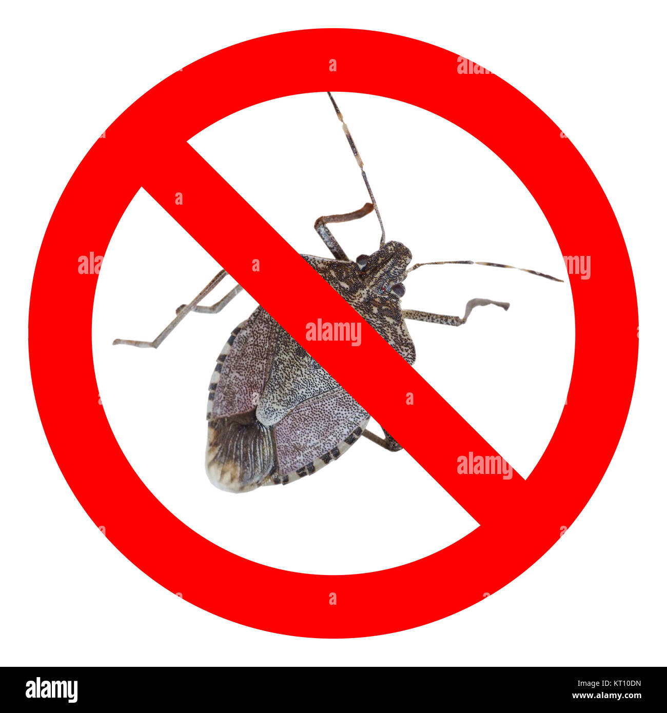 No bugs sign Stock Photo - Alamy