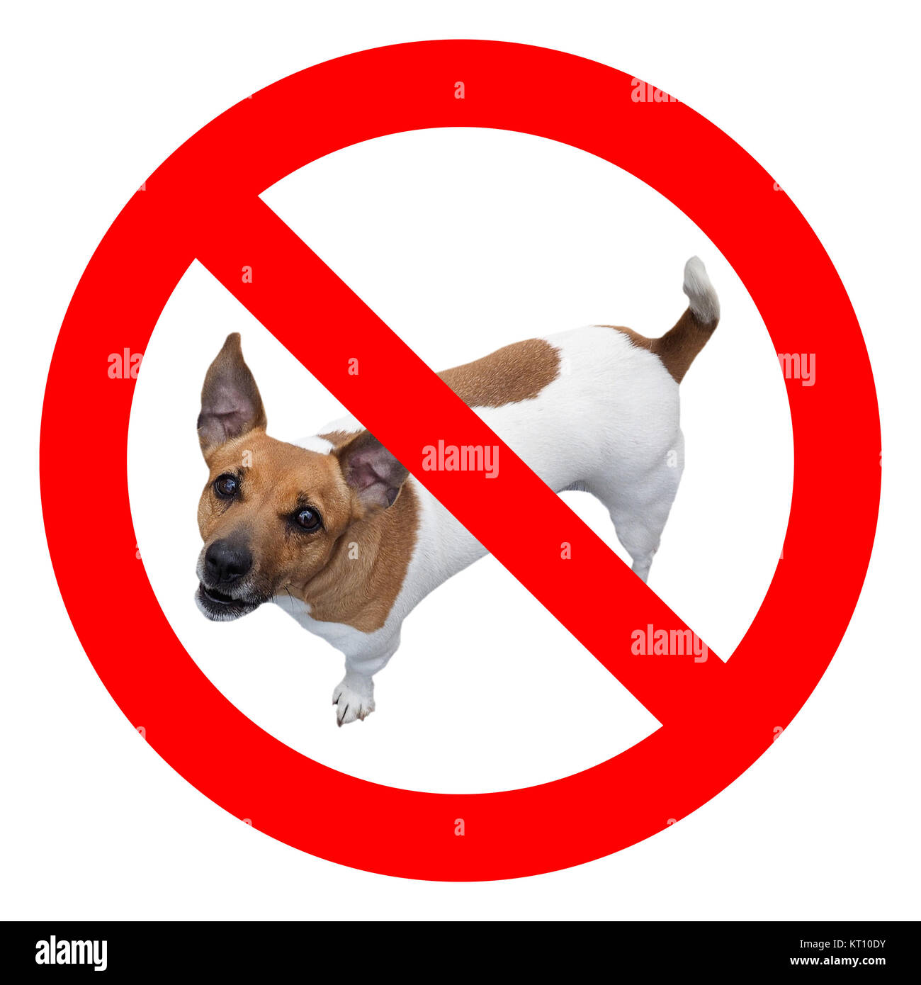 No dogs sign Stock Photo - Alamy