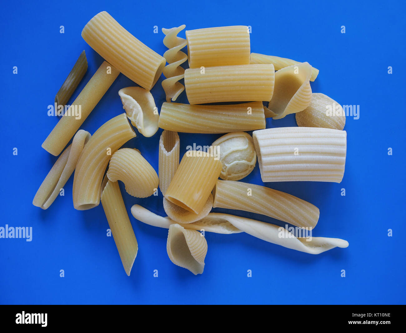 Different types of shells hi-res stock photography and images - Alamy