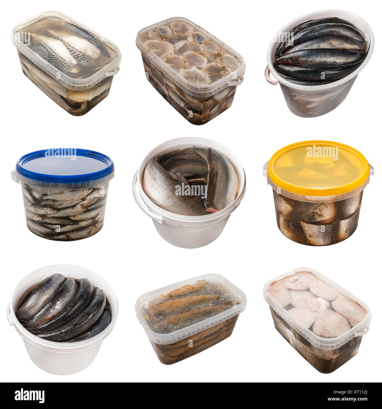 set of a different preserved fish in box Stock Photo - Alamy