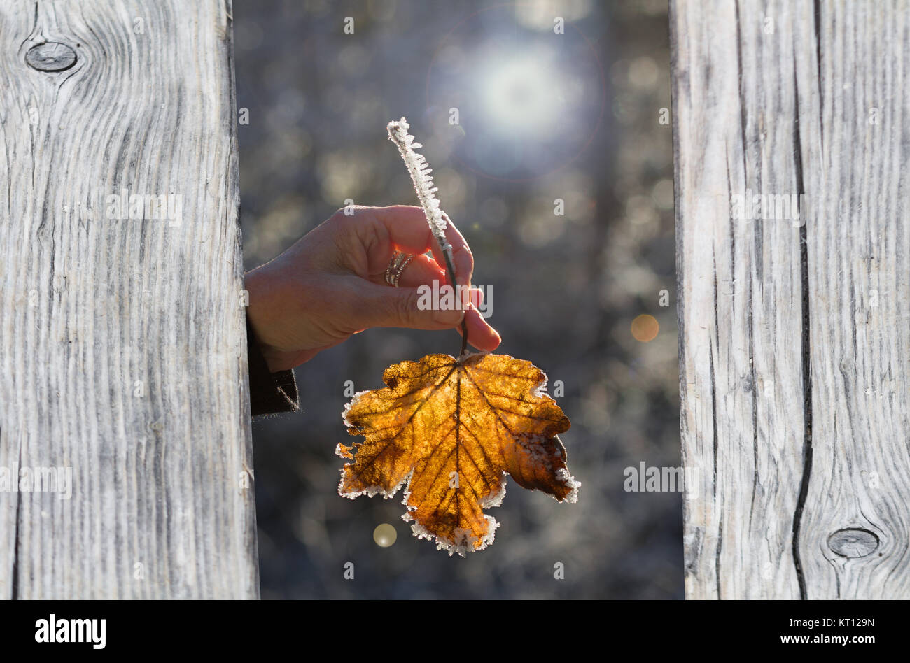 Ice magic hi-res stock photography and images - Alamy
