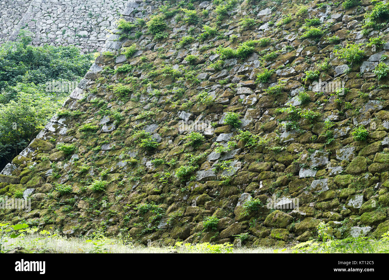 Stone wall with moss Stock Photo - Alamy