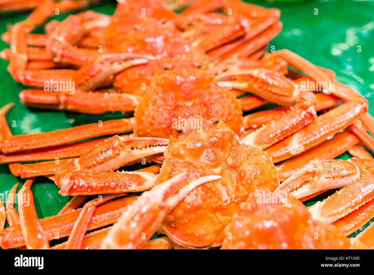 Fresh snow crab Stock Photo - Alamy