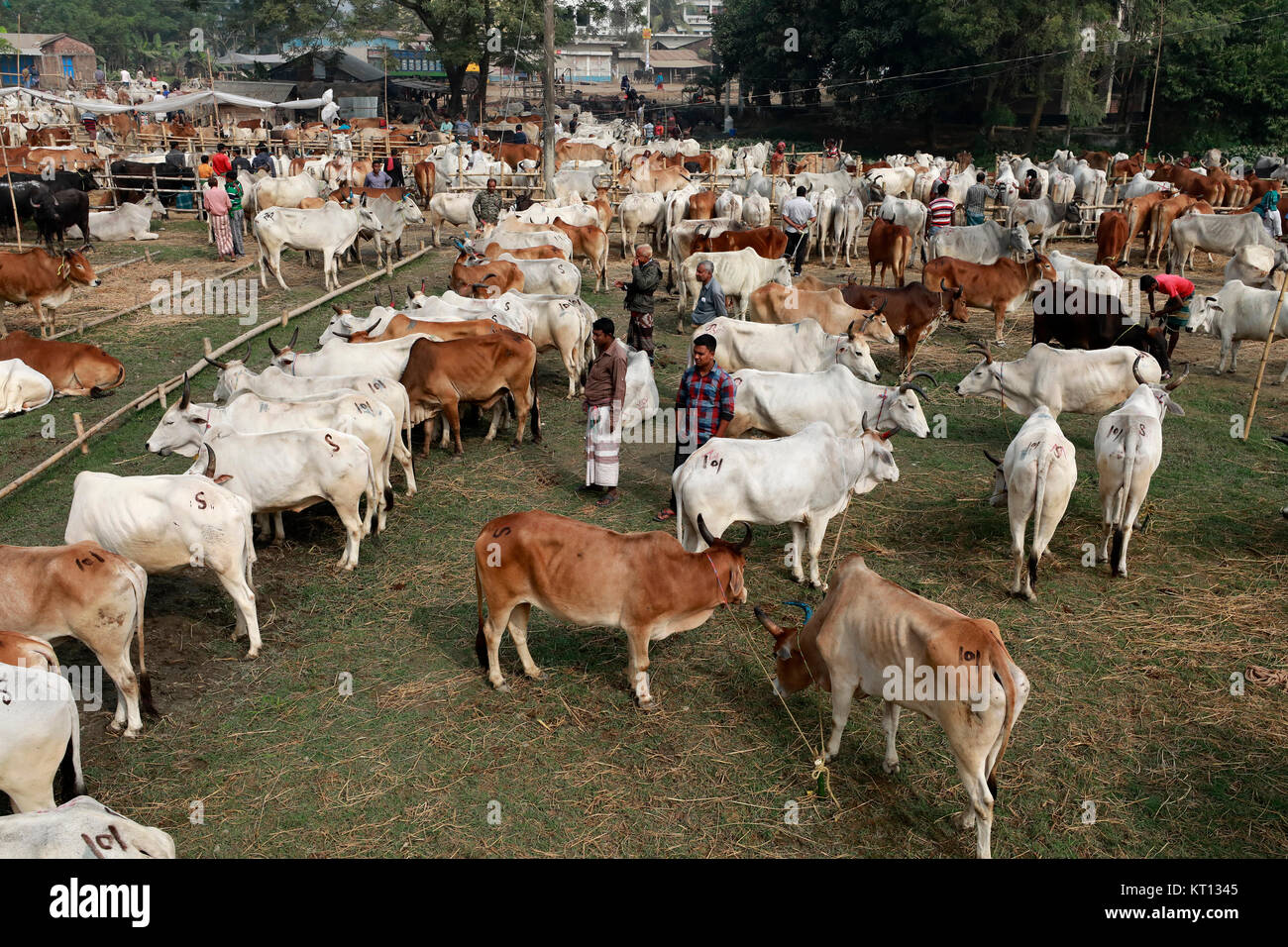 Haats hi-res stock photography and images - Alamy