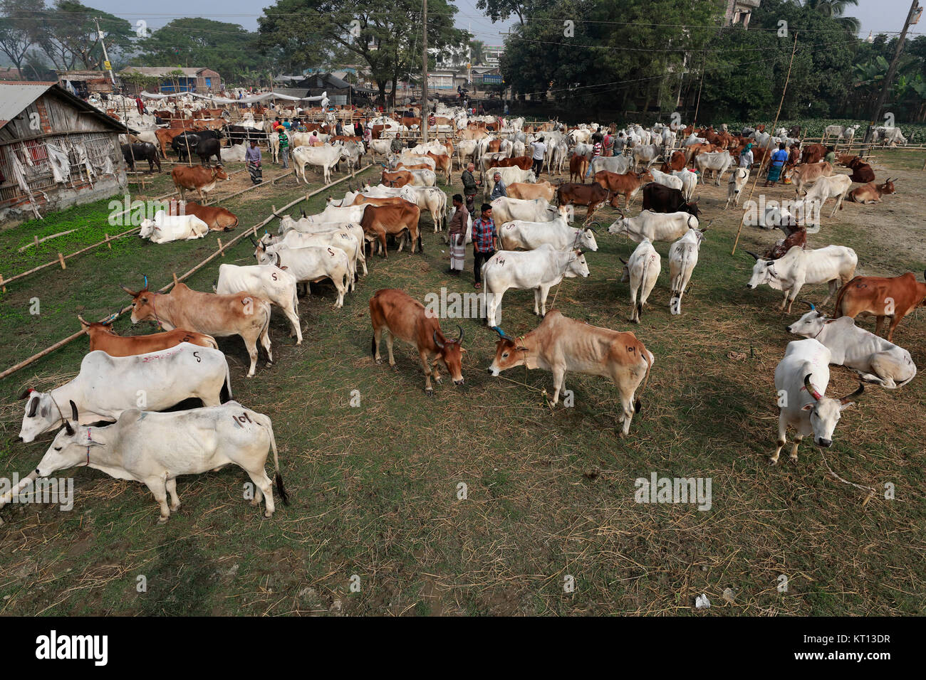 Haats hi-res stock photography and images - Alamy