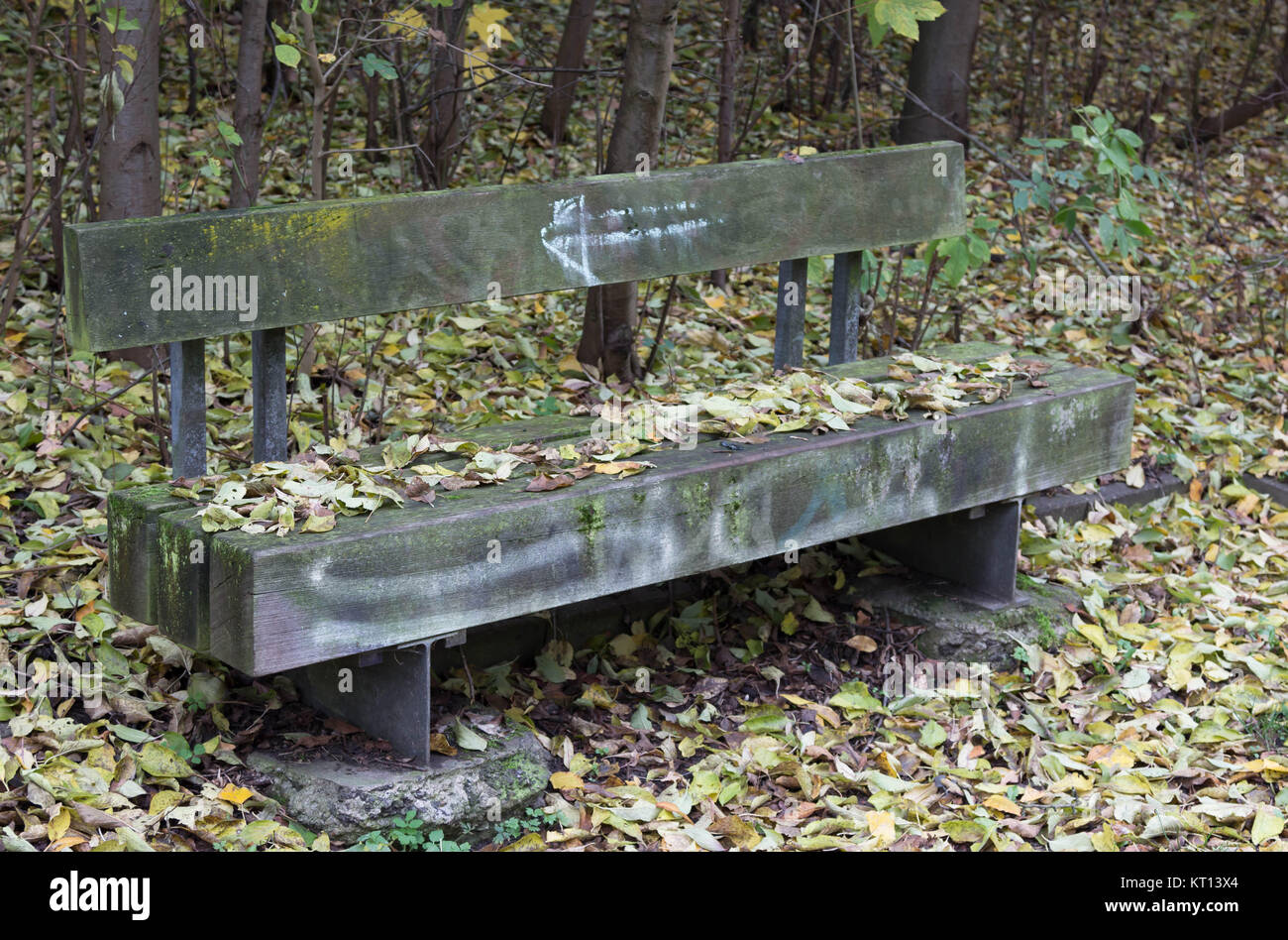berlin park bench Stock Photo - Alamy