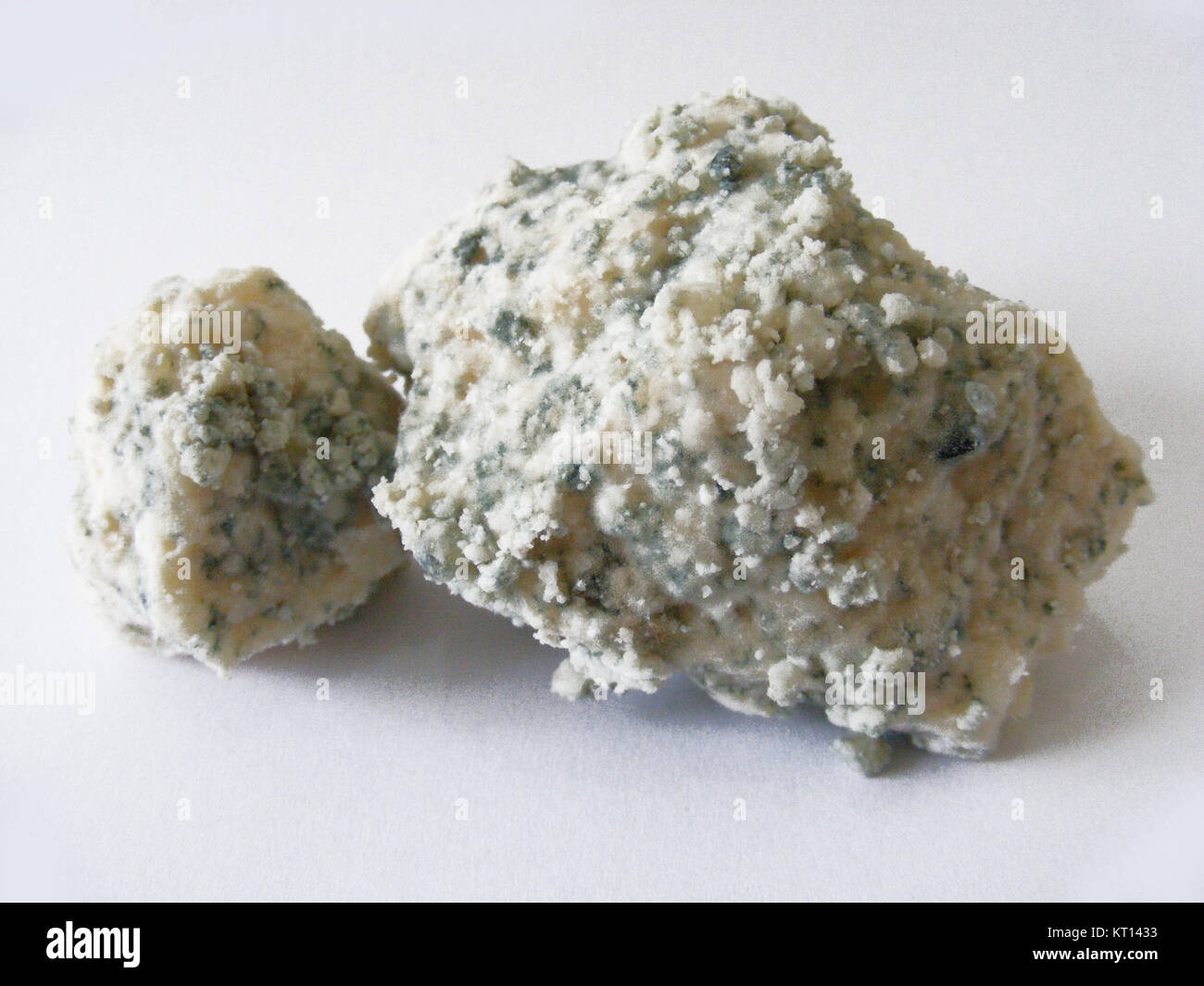 Moldy mushroom hi-res stock photography and images - Alamy