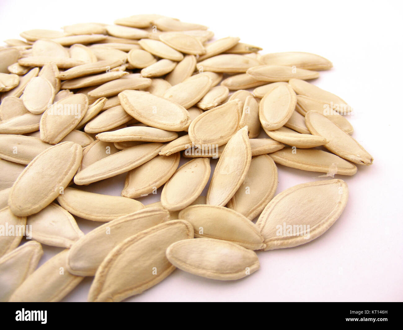 Pumpkin seed drawing hi-res stock photography and images - Alamy