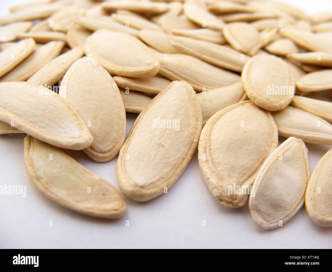 Pumpkin seed drawing hi-res stock photography and images - Alamy