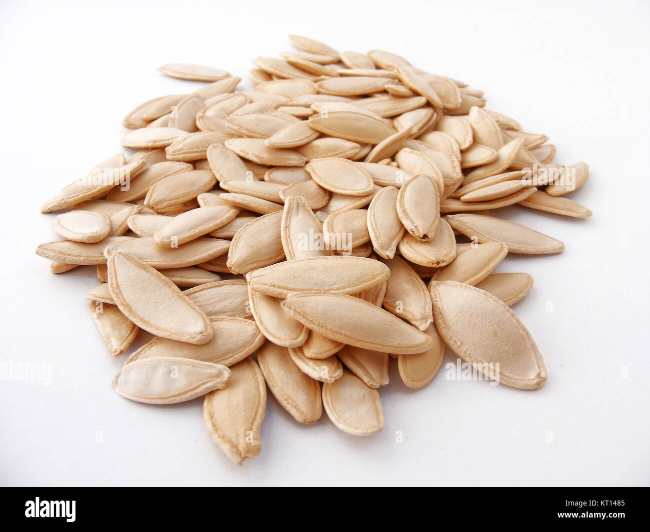 Pumpkin seed drawing hi-res stock photography and images - Alamy