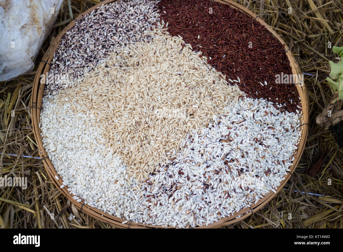 Wild Rice Varieties at Mary Wilber blog