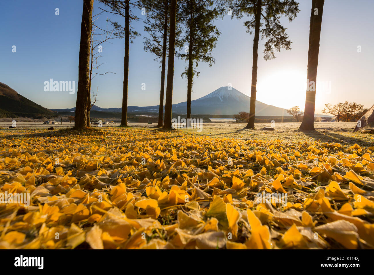 Mount Fuji Sunrise Stock Photo - Alamy