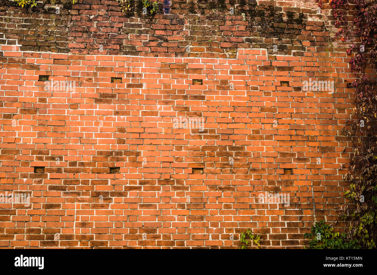 Old dilapidated brick wall of Riga Stock Photo - Alamy