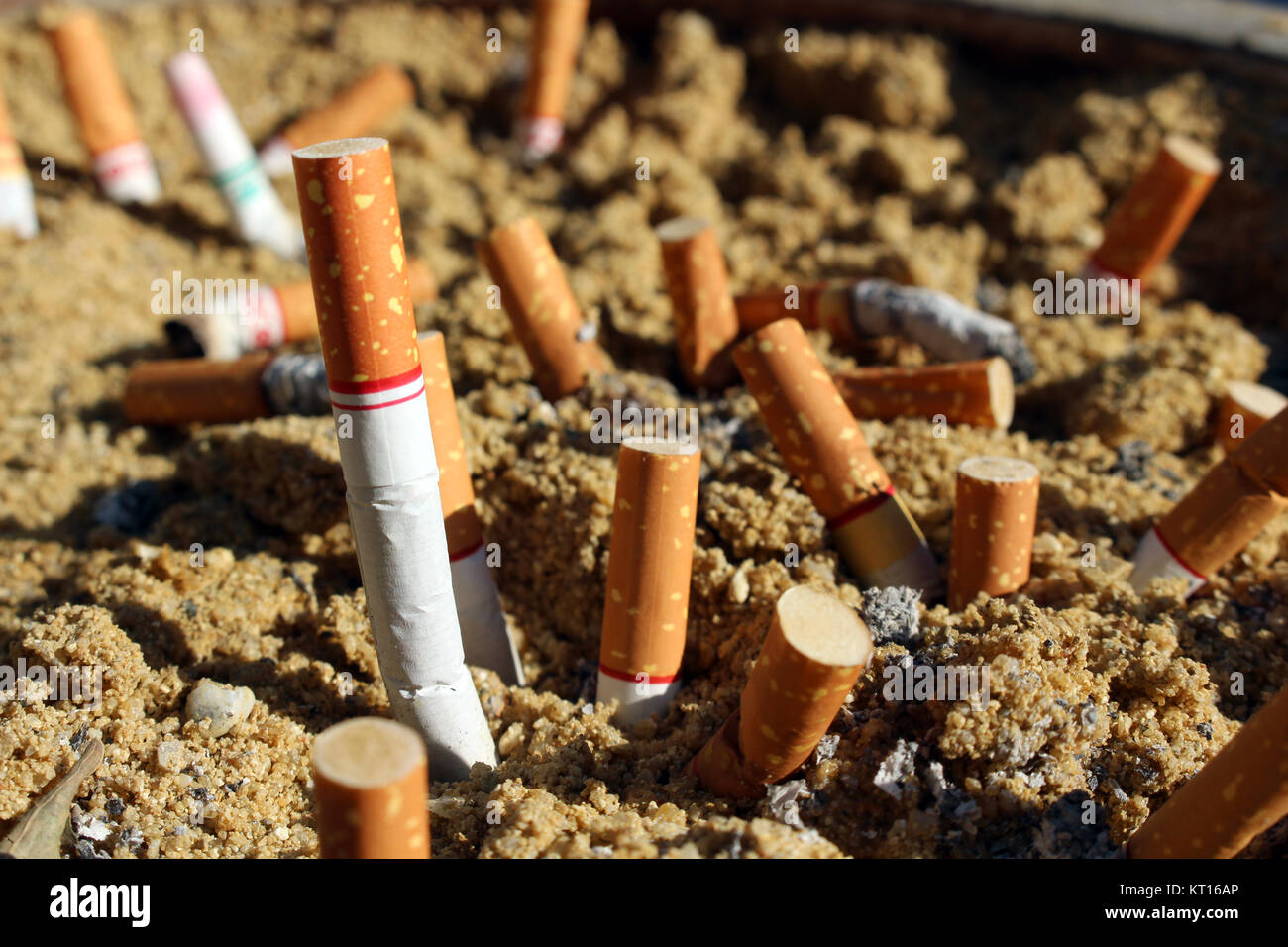 Cigarette Stubs background Stock Photo - Alamy