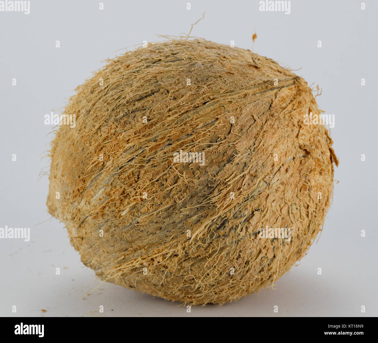 Tender coconut hi-res stock photography and images - Alamy