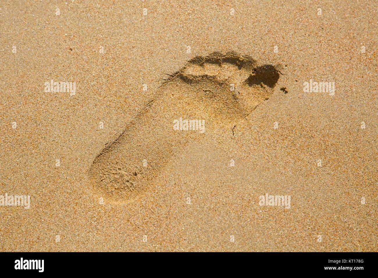 Footsteps in Sand Stock Photo - Alamy