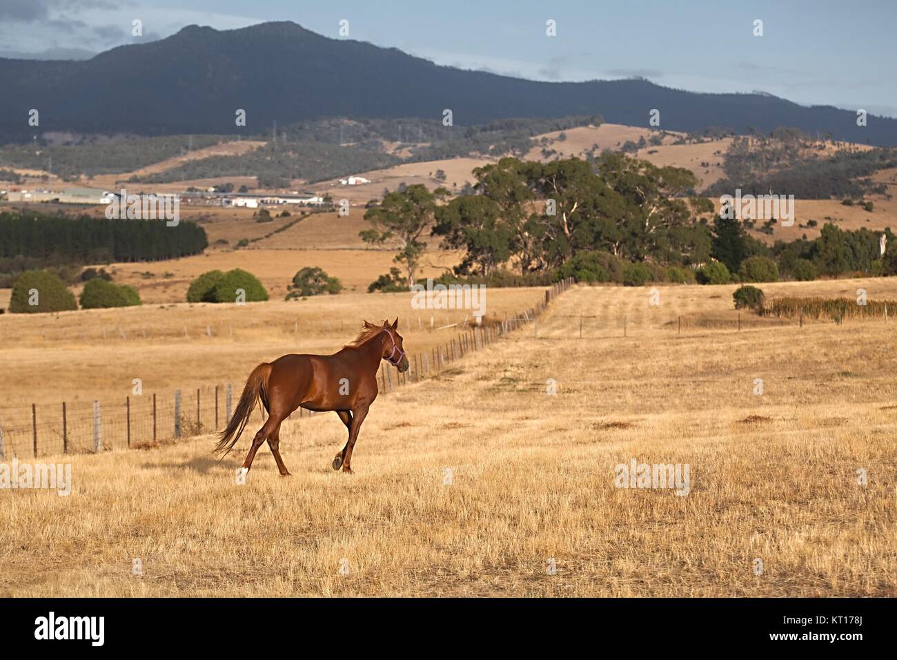 Rural framland hi-res stock photography and images - Alamy