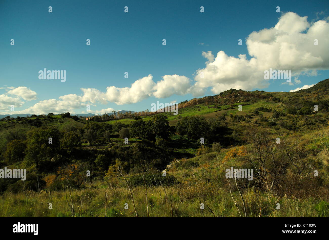 Aspromonte national park hi-res stock photography and images - Alamy