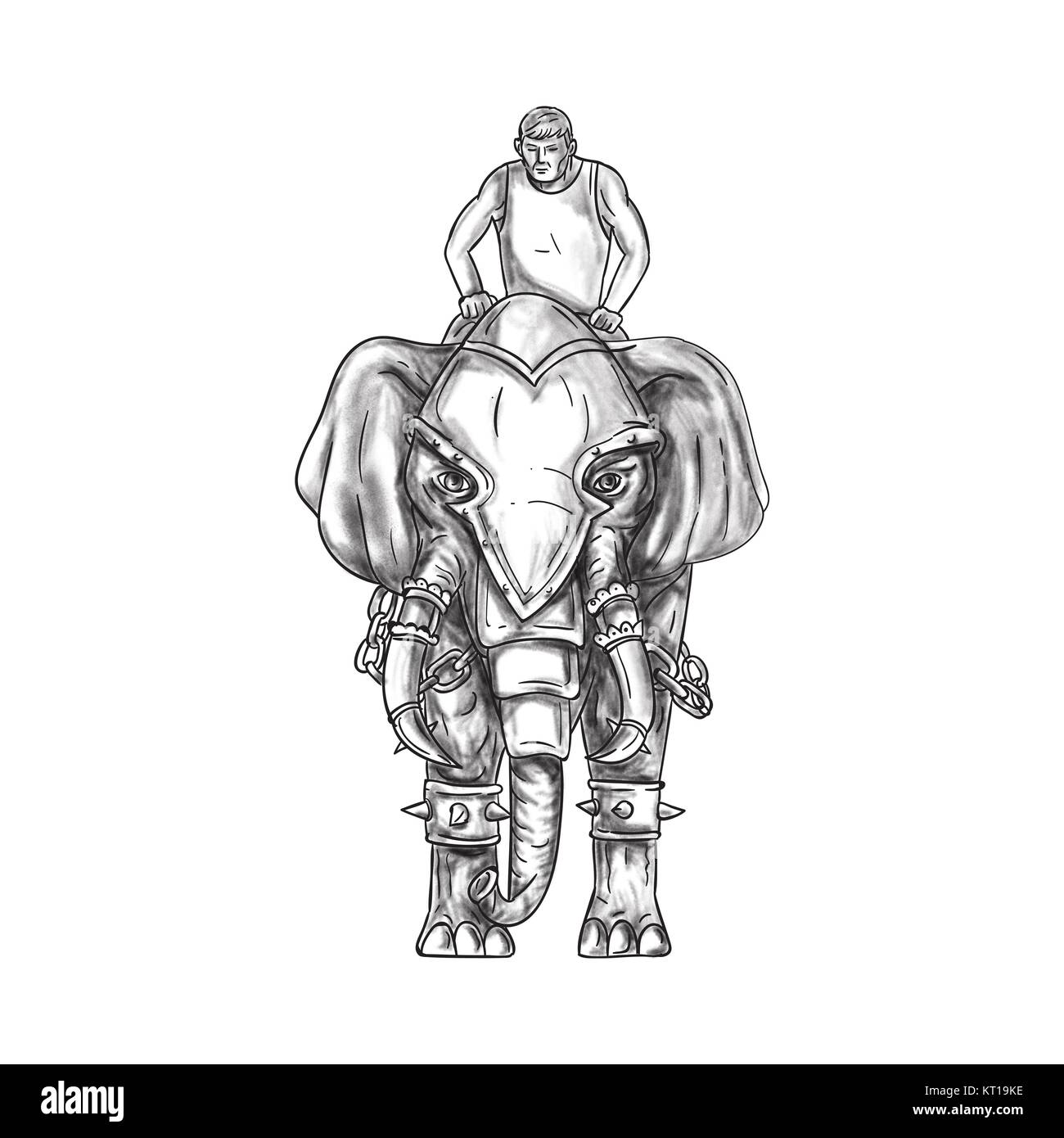 War elephant illustration Cut Out Stock Images & Pictures - Alamy