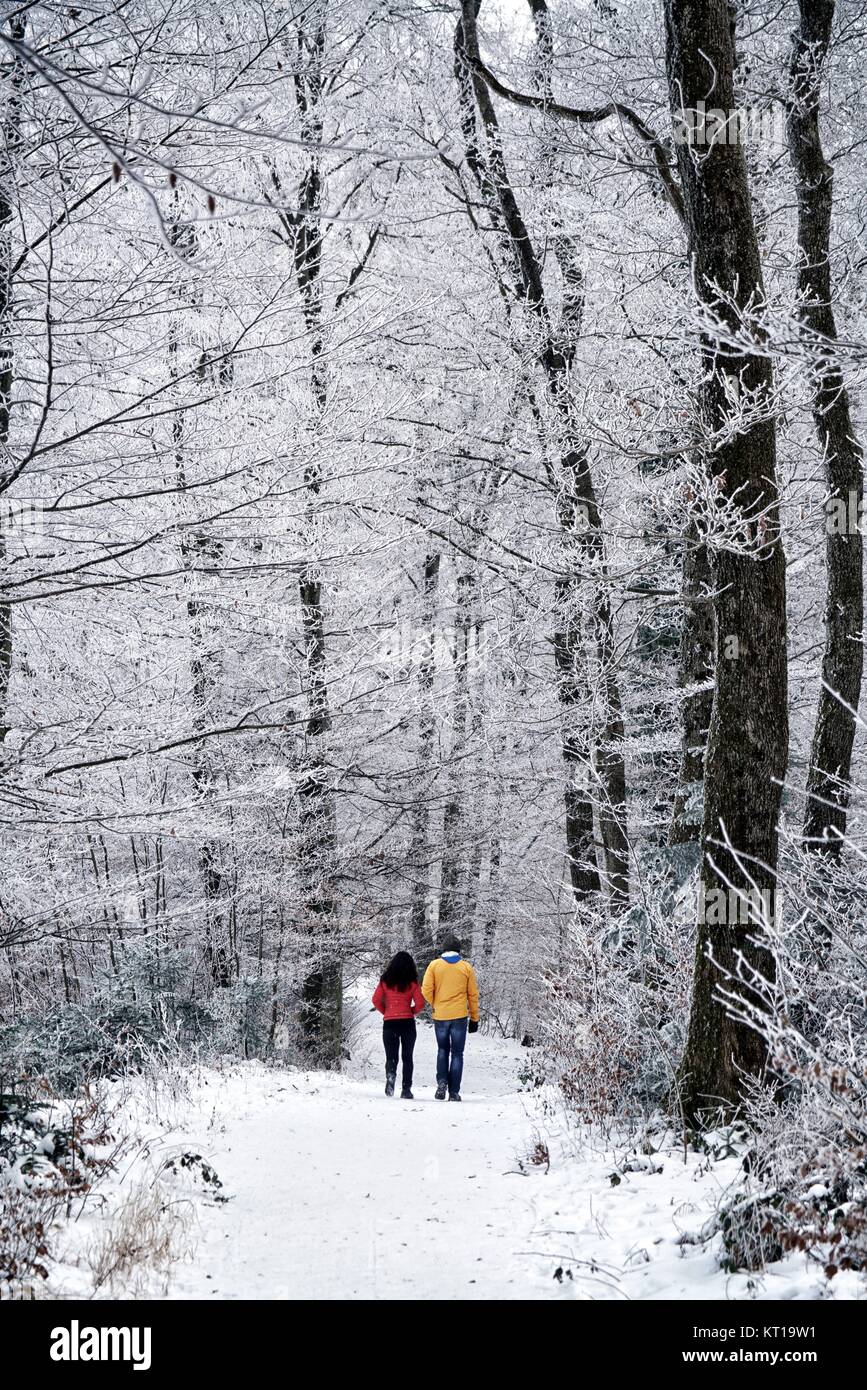 The winter walk hi-res stock photography and images - Alamy