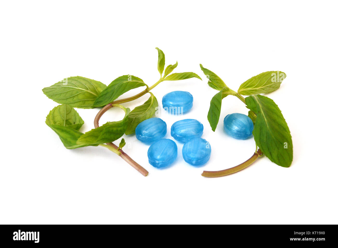 white background mint and peppermint candy Stock Photo - Alamy