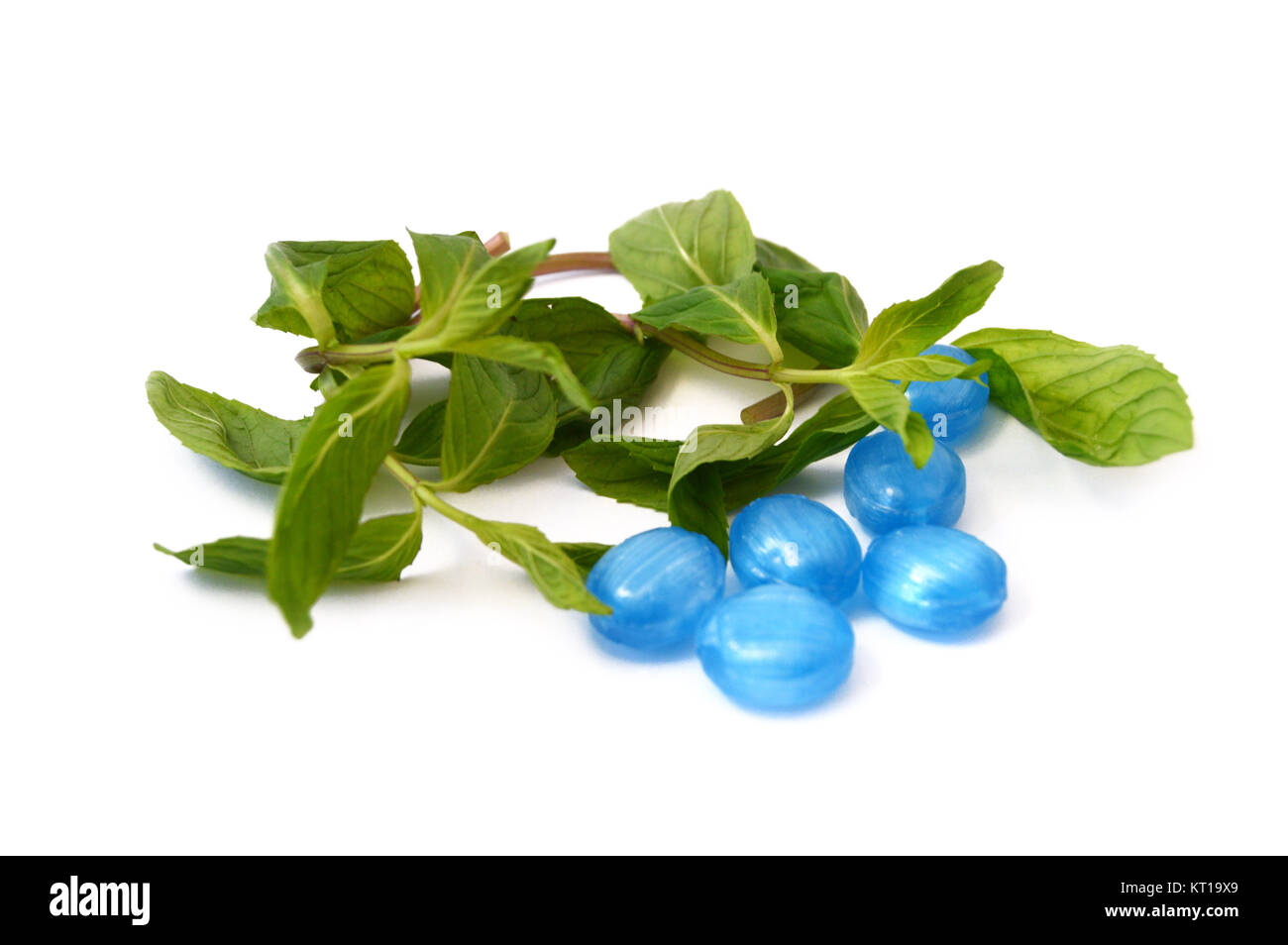 white background mint and peppermint candy Stock Photo - Alamy