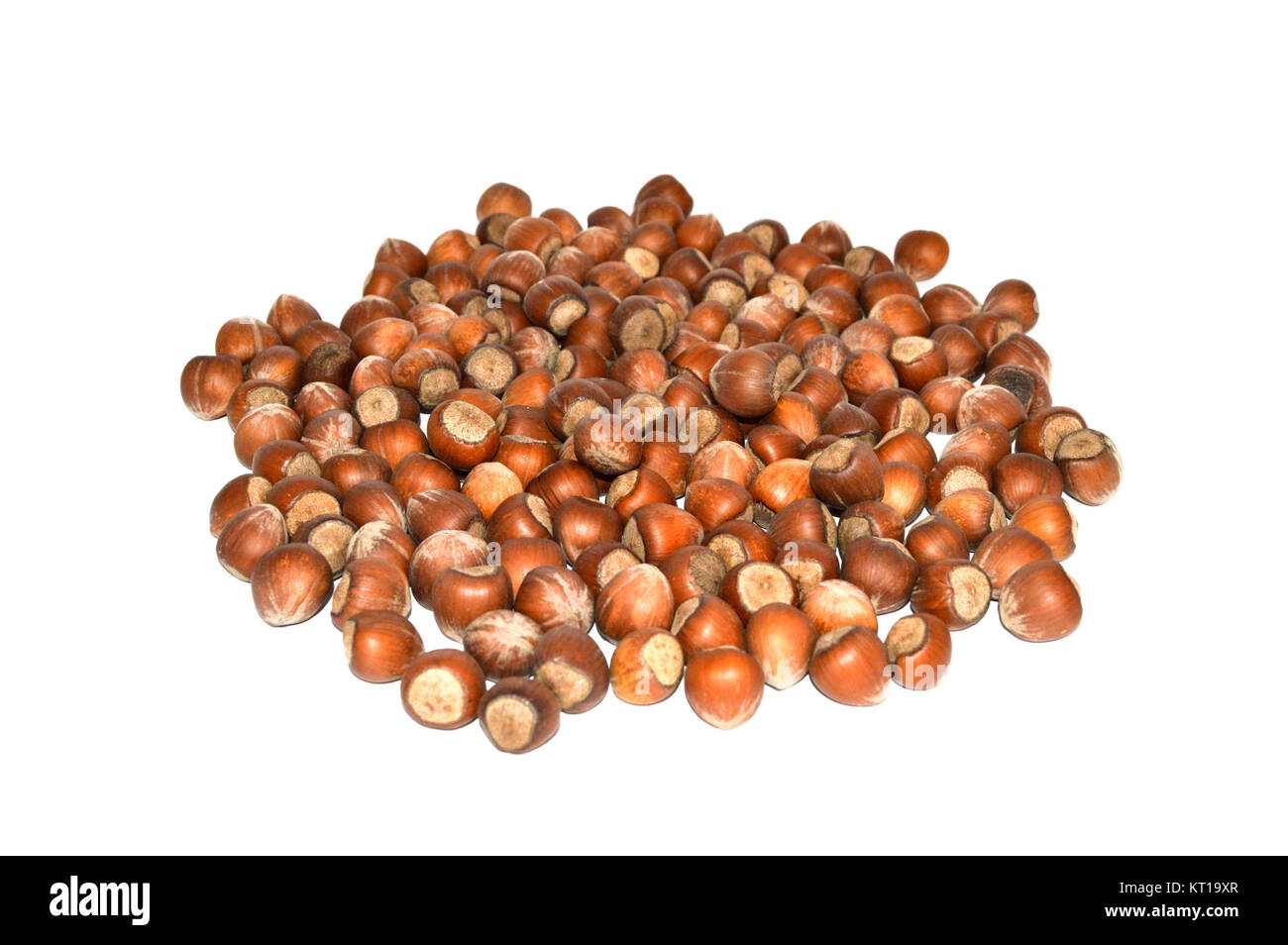 Dried hazelnut pictures Stock Photo - Alamy