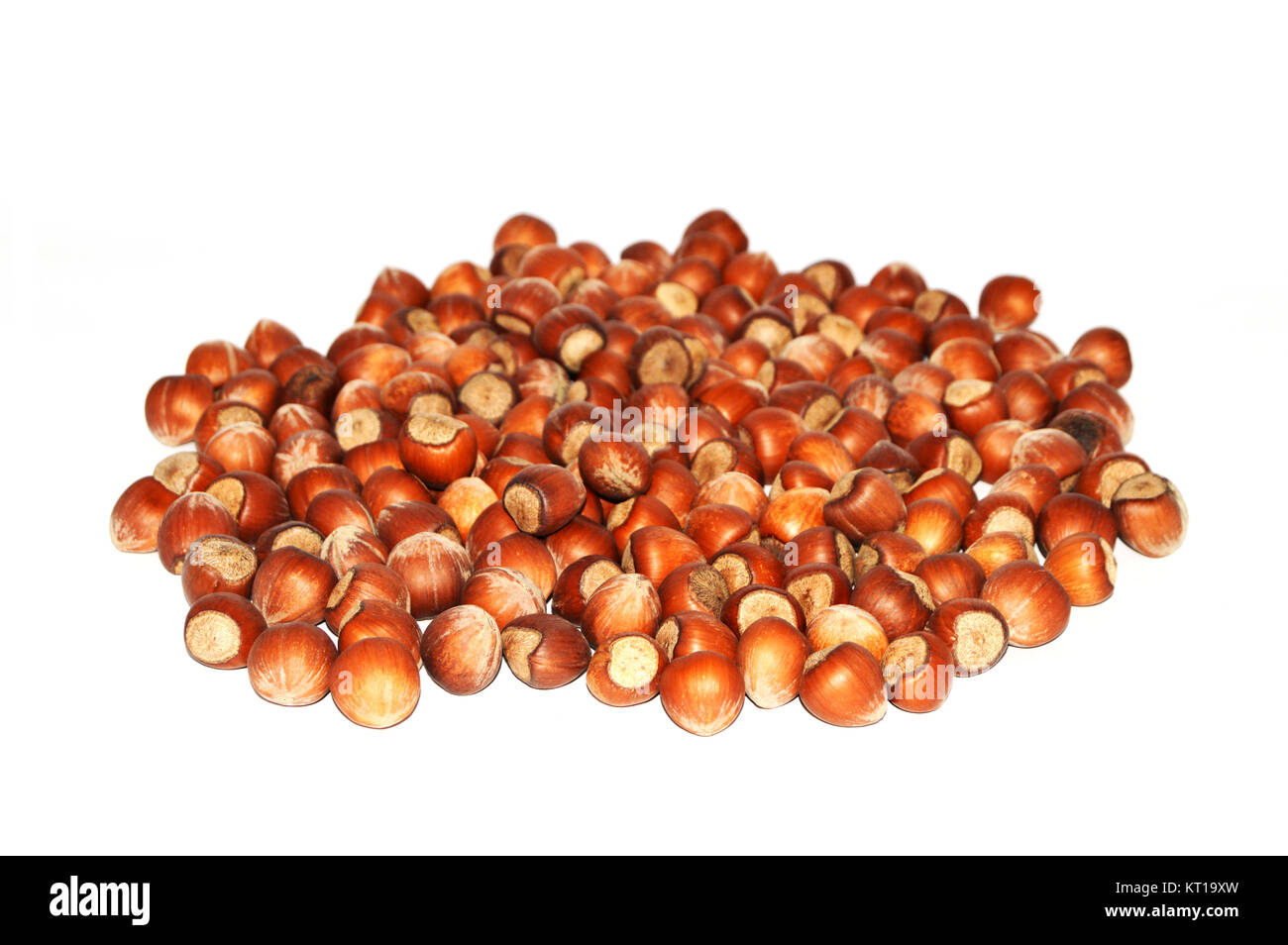 Dried hazelnut pictures Stock Photo - Alamy