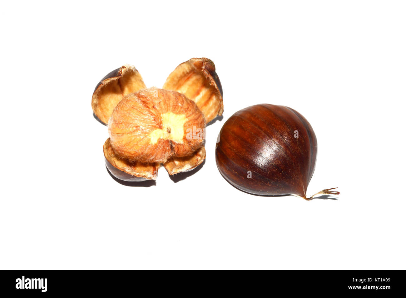 Chestnut dish Cut Out Stock Images & Pictures - Alamy