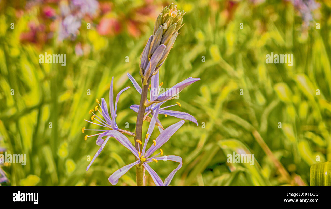 spring is here! Stock Photo - Alamy